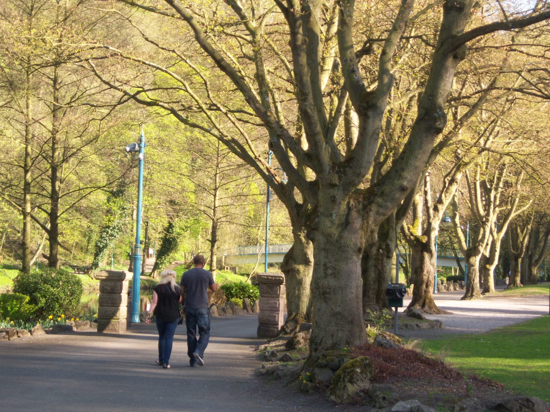 Matlock Bath Accessible Trail | Derwent Valley CRP